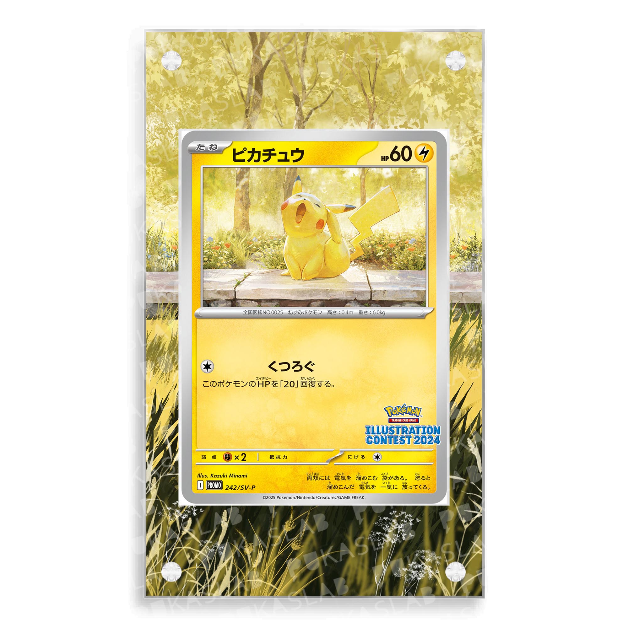 Pikachu Promo Contest 2024 242/ SV-P Magnetic Case - Pokemon Extended ...